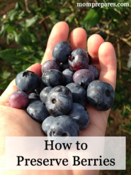 How to Preserve Berries – Mom Prepares