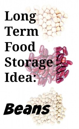 Long Term Food Storage Ideas: Beans – Mom Prepares