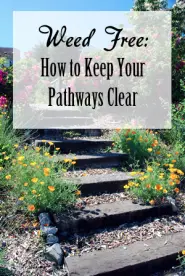 Weed Free: How to Keep Your Pathways Clear – Mom Prepares