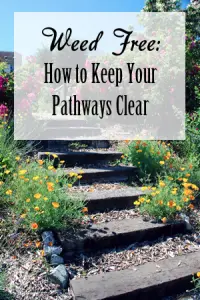 Weed Free: How to Keep Your Pathways Clear – Mom Prepares