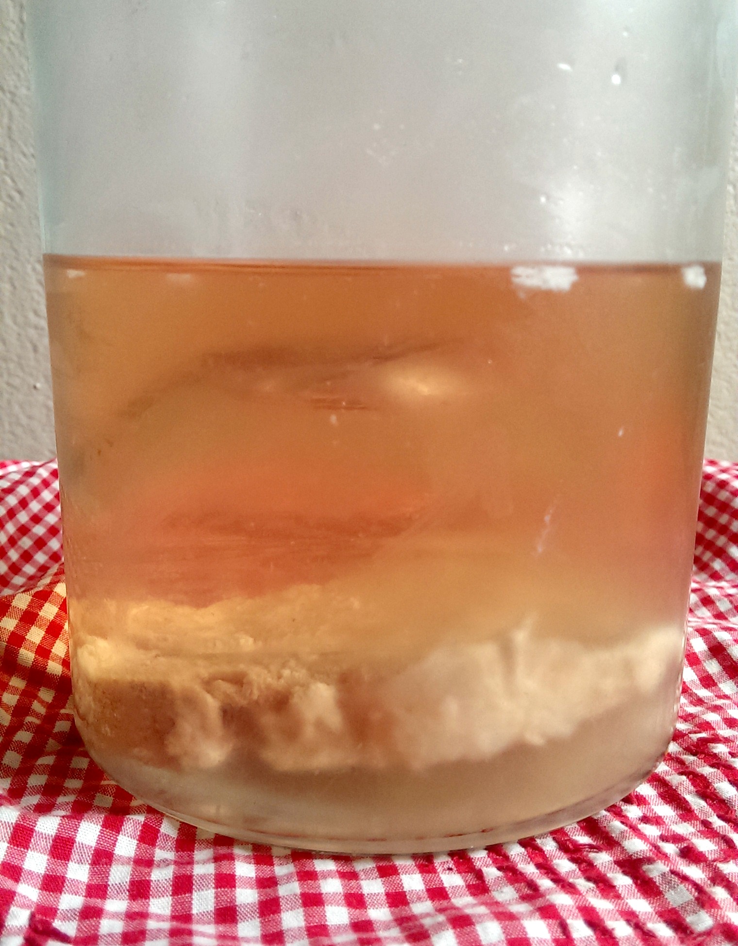 Meat Preservation: Brined Meat Experiment – Mom Prepares