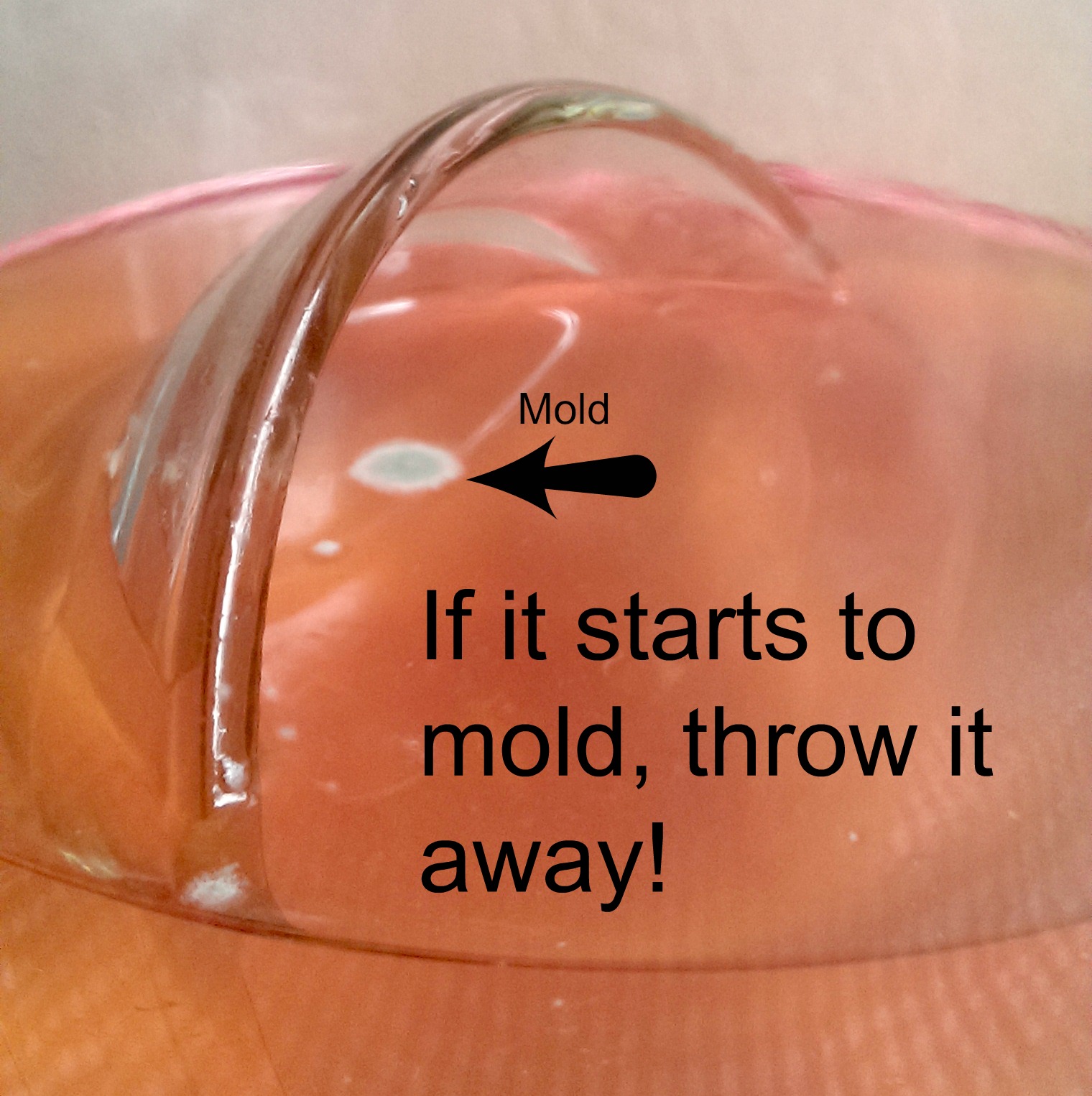 Meat Preservation: Brined Meat Experiment – Mom Prepares