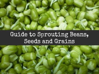 Guide to Sprouting Beans, Seeds and Grains – Mom Prepares