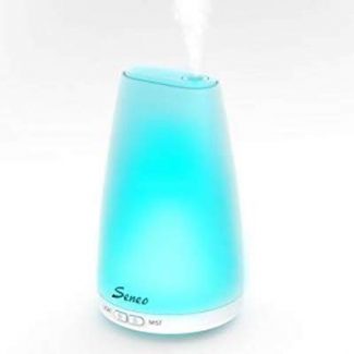 Best Essential Oil Diffusers on the Market – Mom Prepares