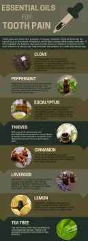 11 Best Essential Oils for Toothaches – Mom Prepares