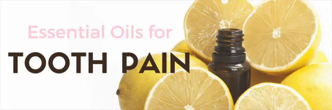 11 Best Essential Oils for Toothaches – Mom Prepares